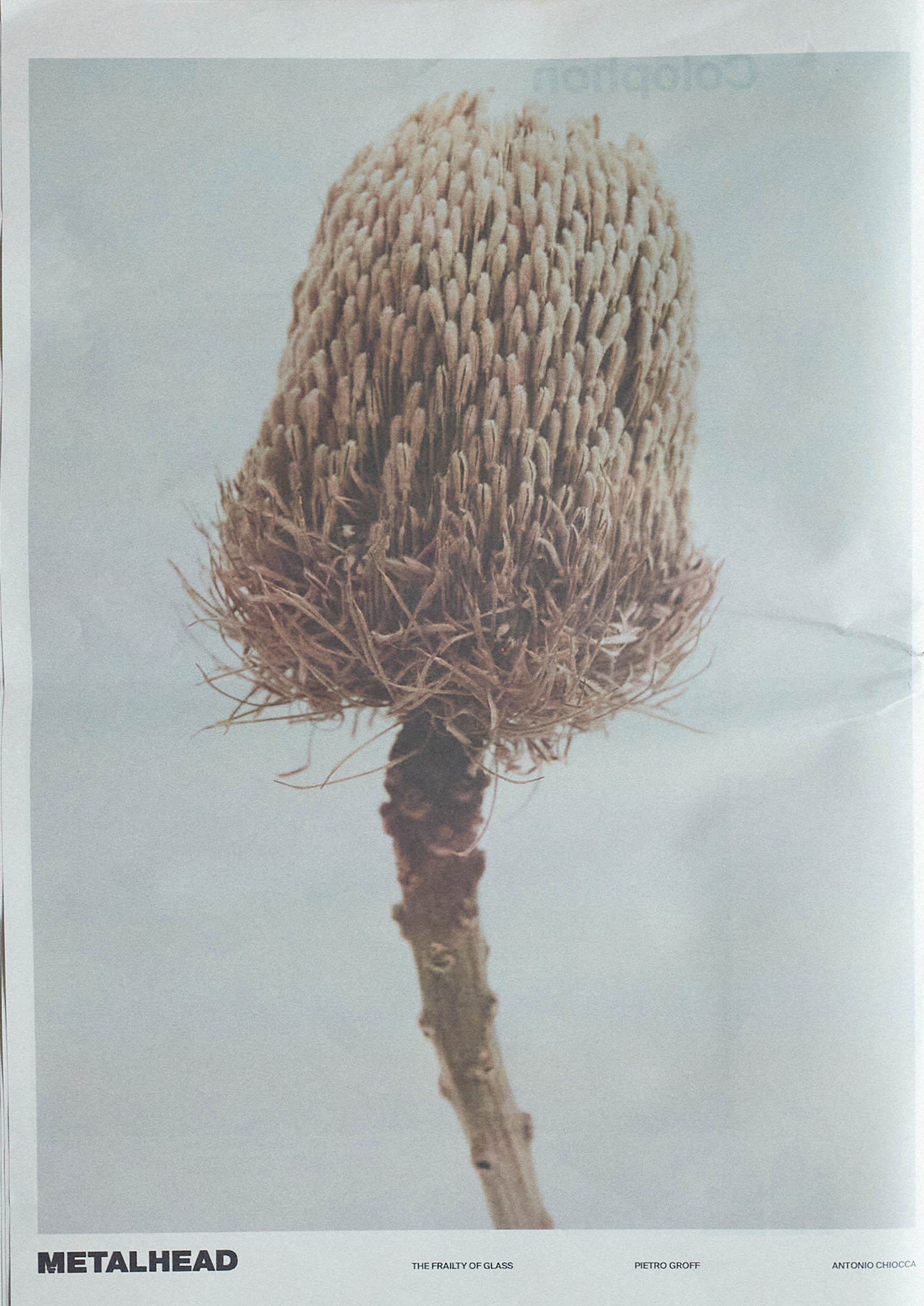 ISSUES - The Metalhead Magazine